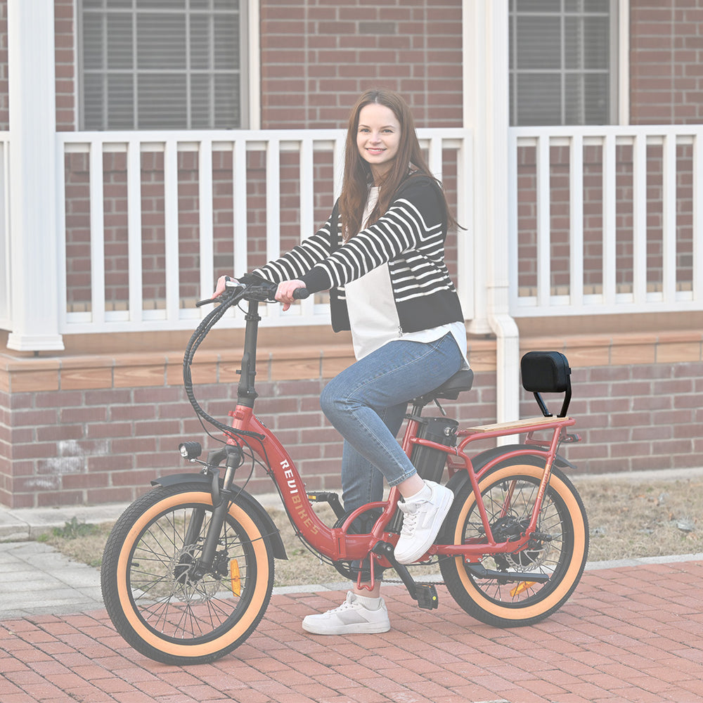 Rebel.2 Passsenger Back Rest – REVIBIKES