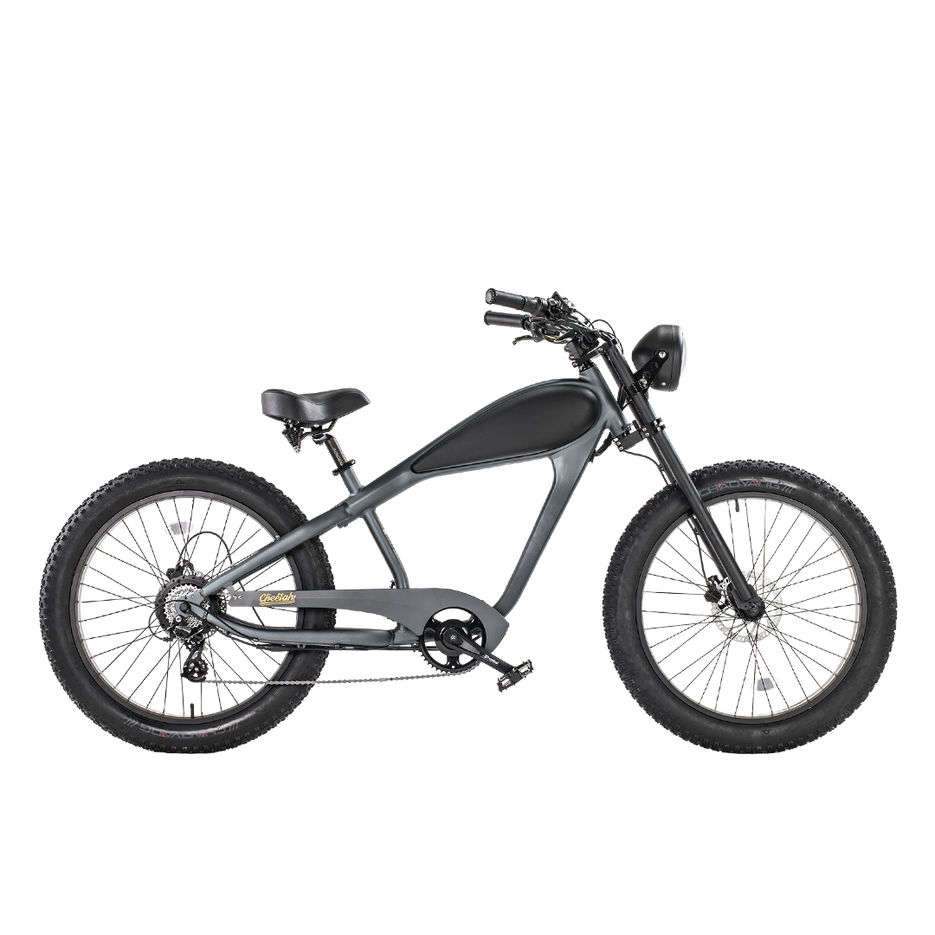 REVIBIKES™ Electric Bikes | Flash Sale On Select Ebikes！