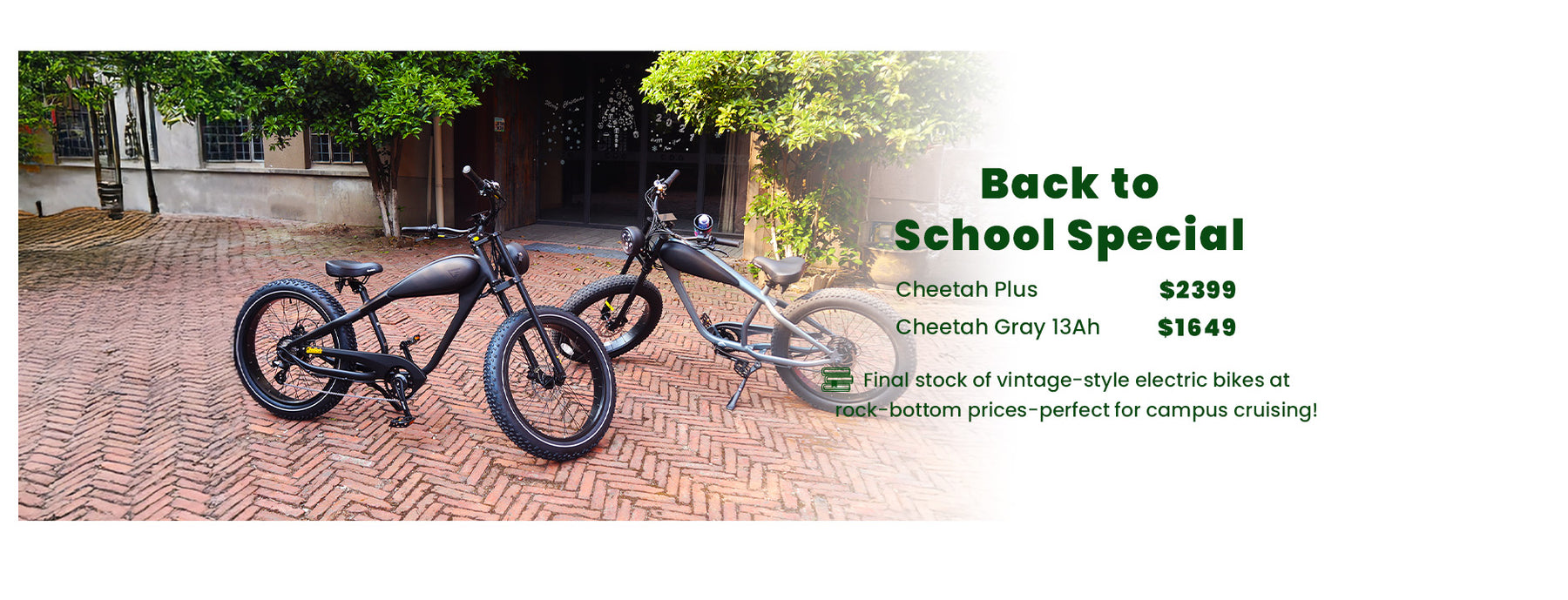 REVIBIKES™ Electric Bikes | Flash Sale On Select Ebikes！