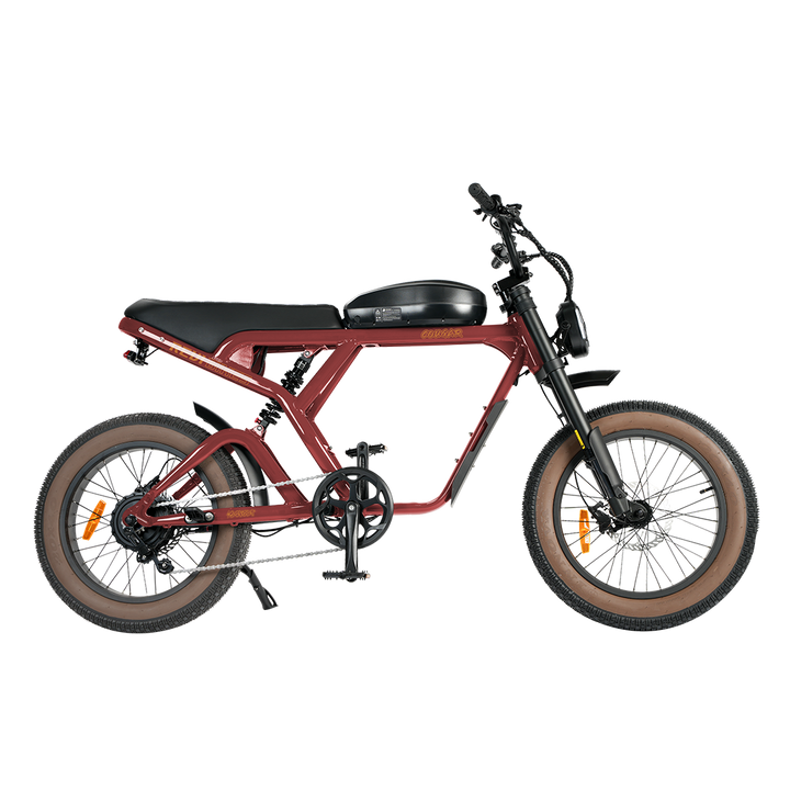 REVIBIKES™ Electric Bikes | Flash Sale On Select Ebikes！