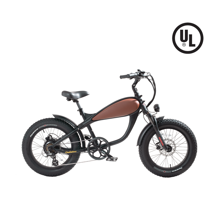 REVIBIKES™ Electric Bikes | Flash Sale On Select Ebikes！